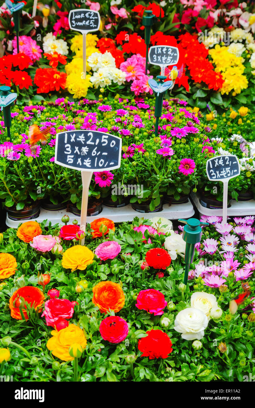 AMSTERDAM - APRIL 17: Stalls at the Floating flower market on April 17 ...