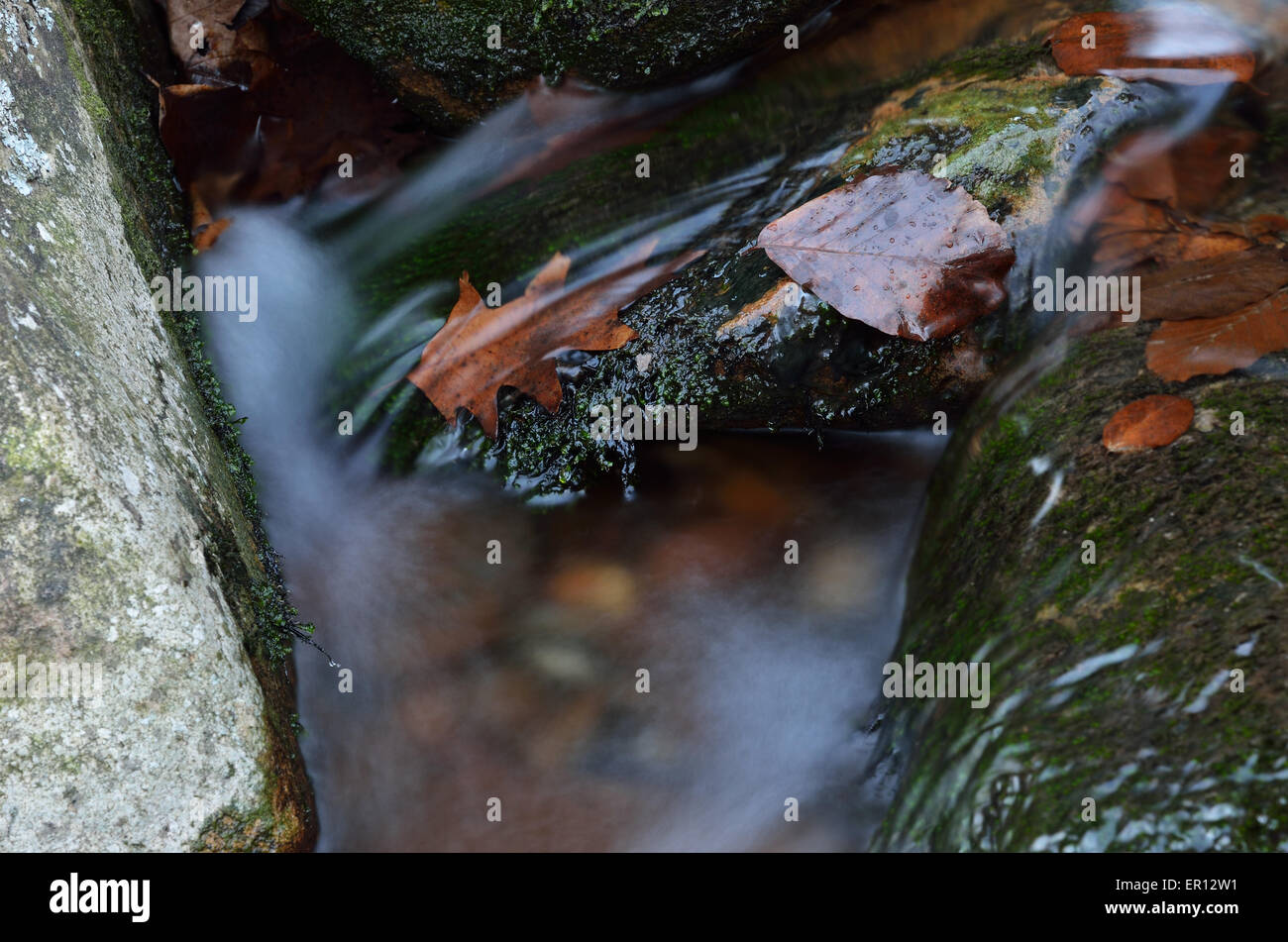 Close-up of a stream at long shutter speed Stock Photo - Alamy