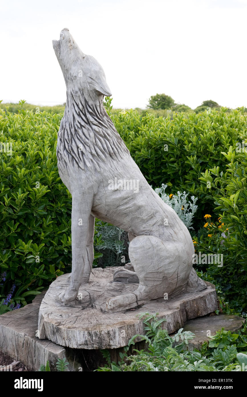 Hunstanton wolf hi-res stock photography and images - Alamy