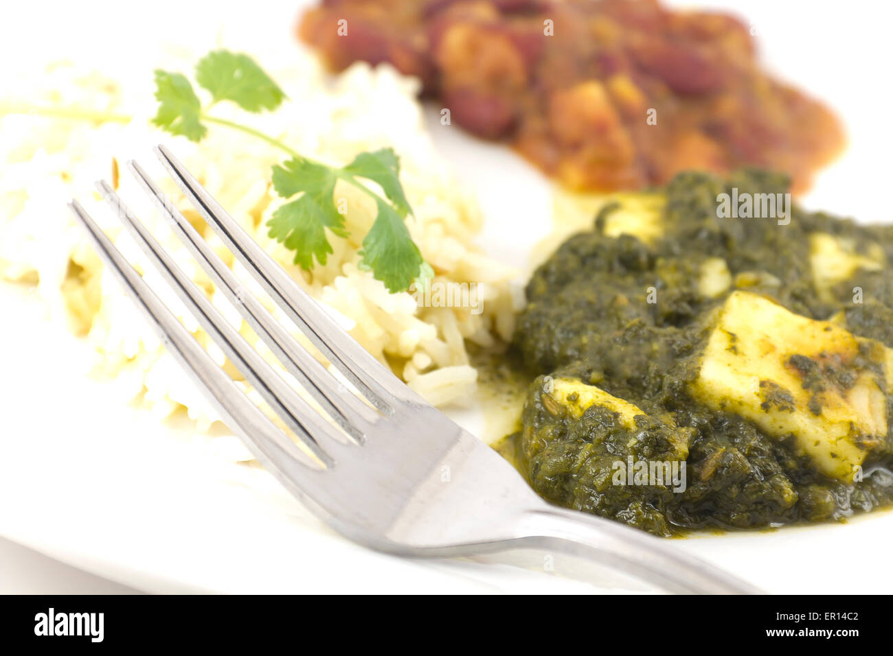 Sag Paneer - authentic Indian food with basmati rice and bean curry ...