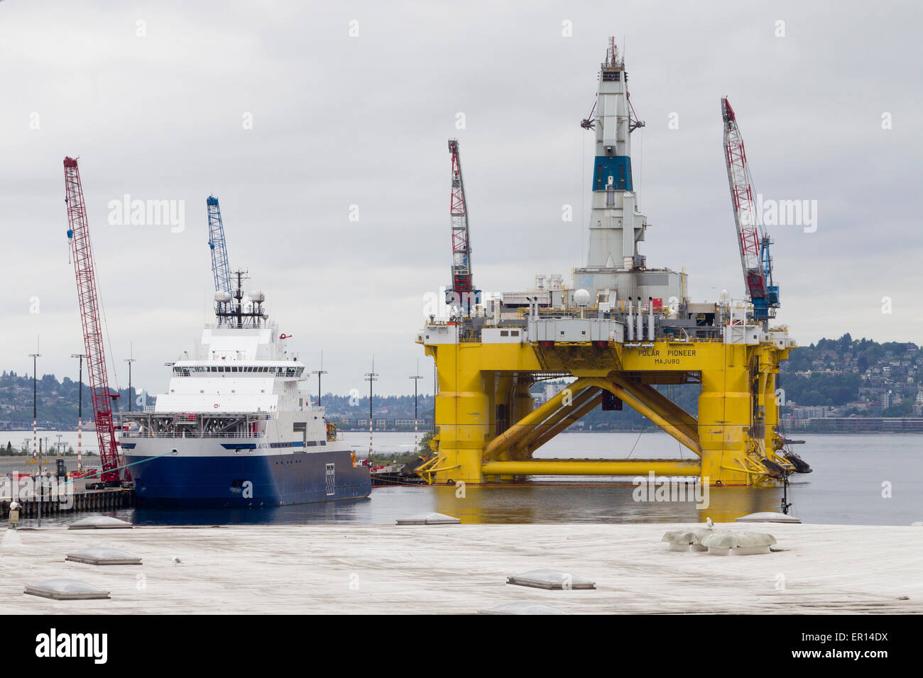 Chukchi sea shell High Resolution Stock Photography and Images - Alamy