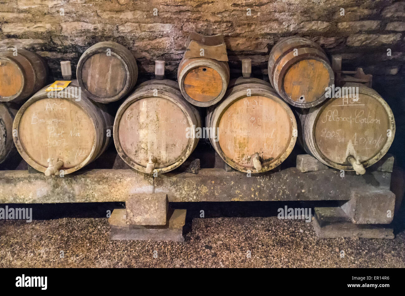 Aged Wine Barrels in a Burgundy Wine Cellar, France Stock Photo - Alamy