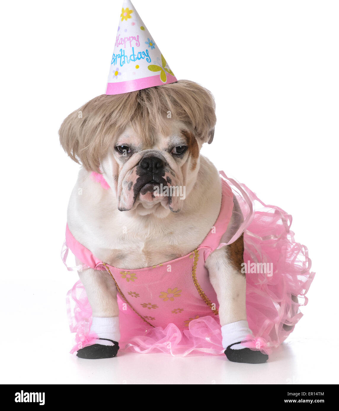 Humanized animal hi-res stock photography and images - Alamy