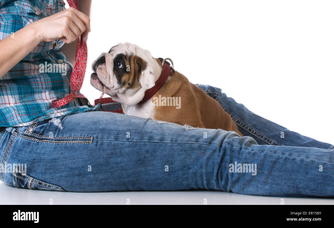woman's legs with puppy - bulldog Stock Photo - Alamy