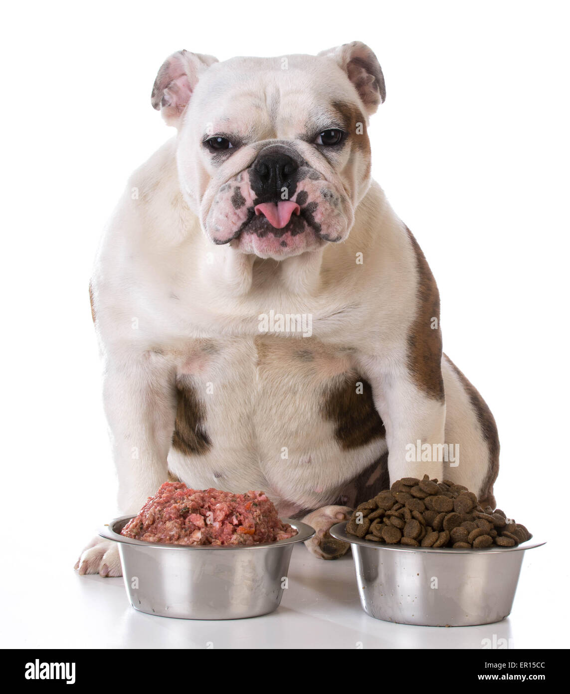 Pet kibble hi-res stock photography and images - Alamy
