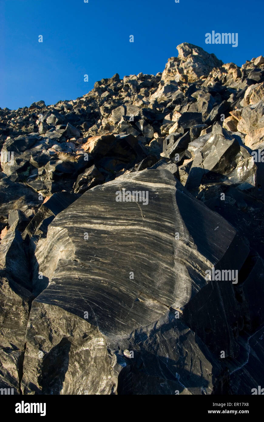 Obsidian along Obsidian Flow Trail, Newberry National Volcanic Monument, Oregon Stock Photo - Alamy