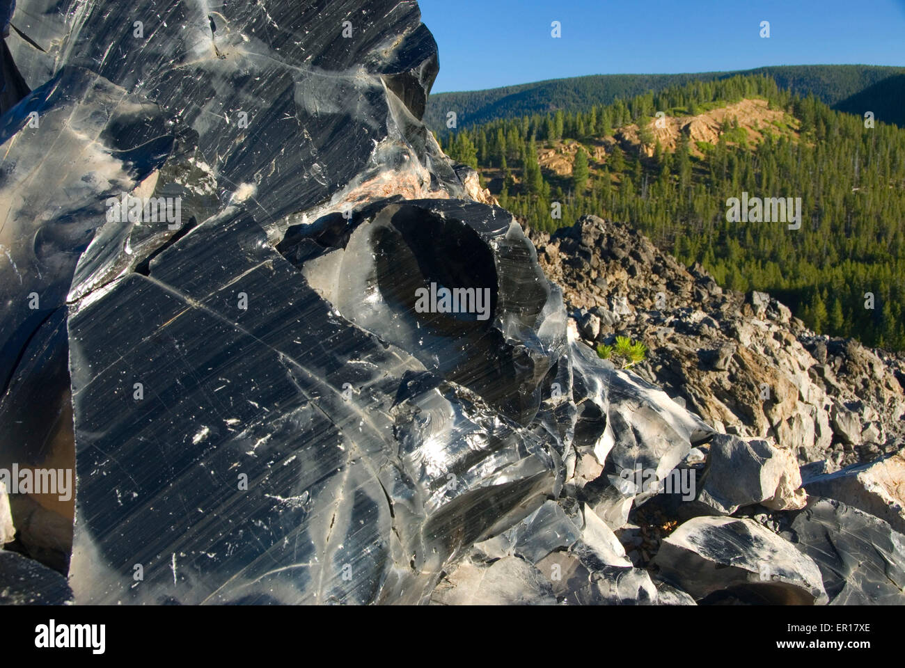 Obsidian along Obsidian Flow Trail, Newberry National Volcanic Monument ...