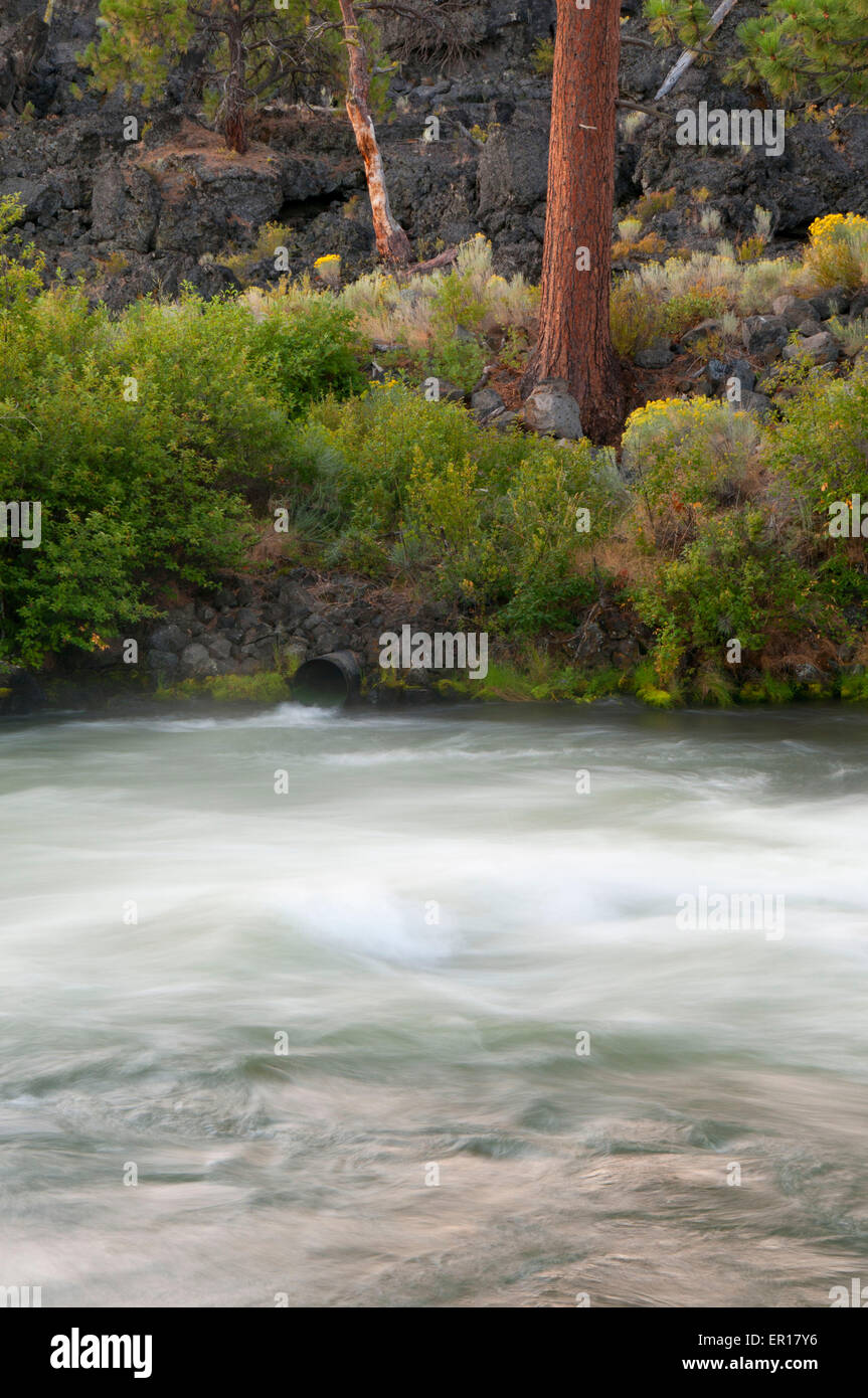 Deschutes Wild and Scenic River from Deschutes River Trail, Deschutes ...