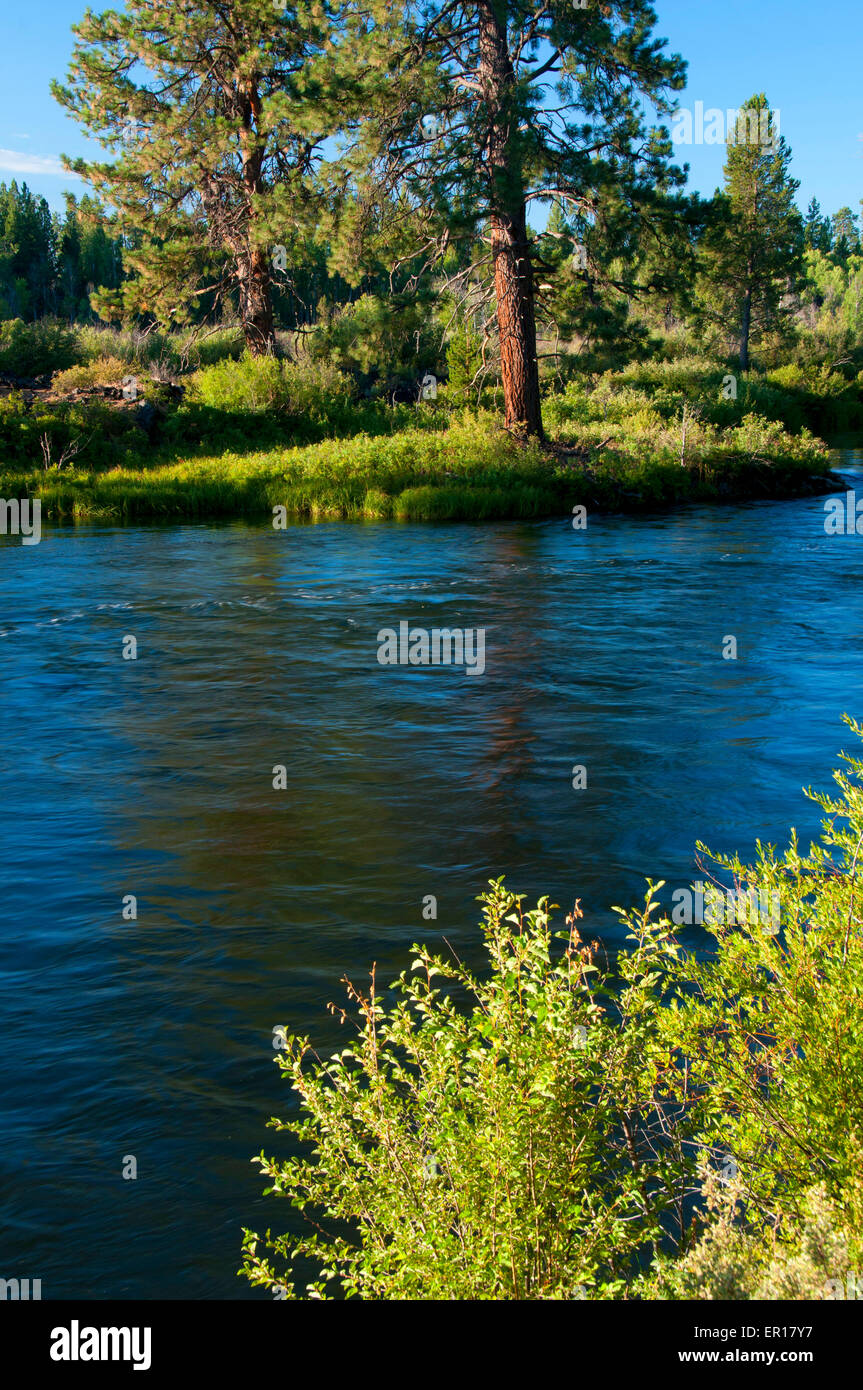 Deschutes Wild and Scenic River from Deschutes River Trail, Deschutes ...