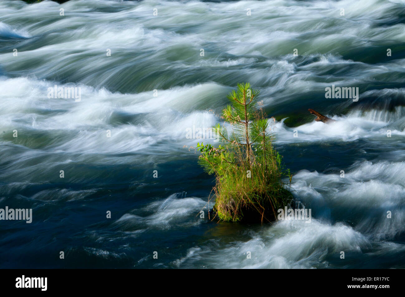 Deschutes Wild and Scenic River from Deschutes River Trail, Deschutes ...