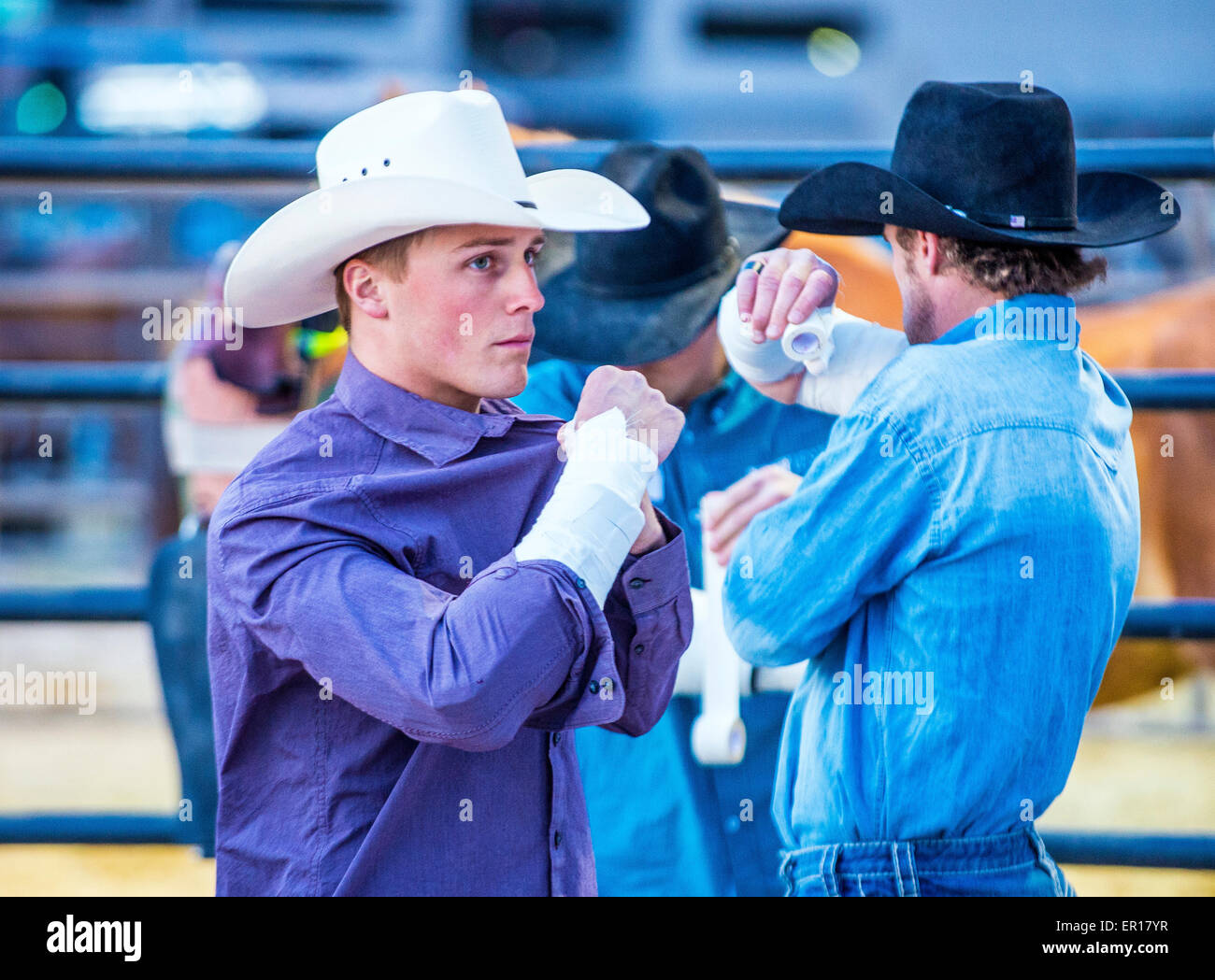 Cowboys preparing for the Helldorado days Rodeo , A professional rodeo ...