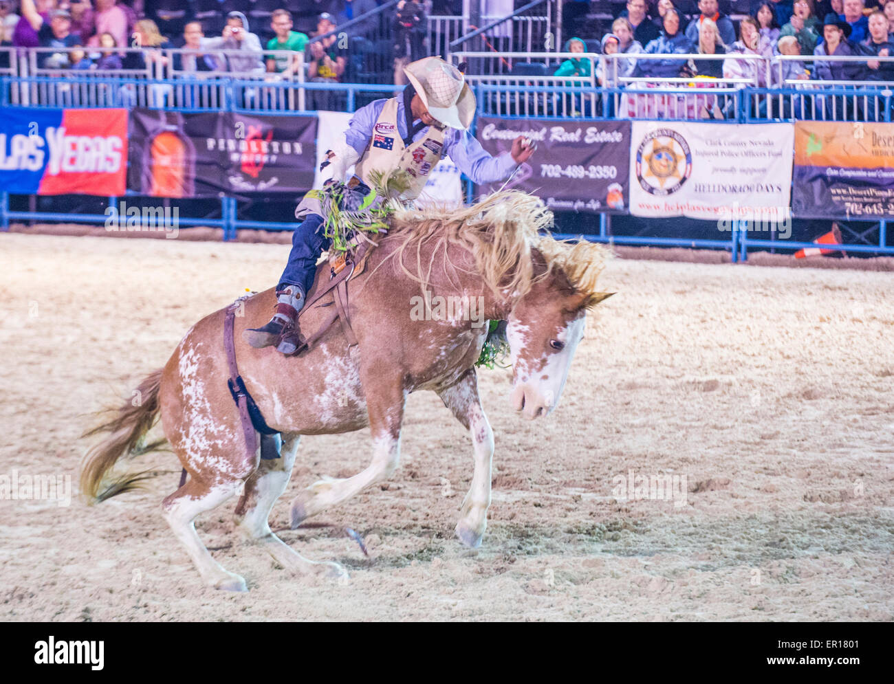 Cowboy Participating in a Bucking Horse Competition at the Helldorado ...
