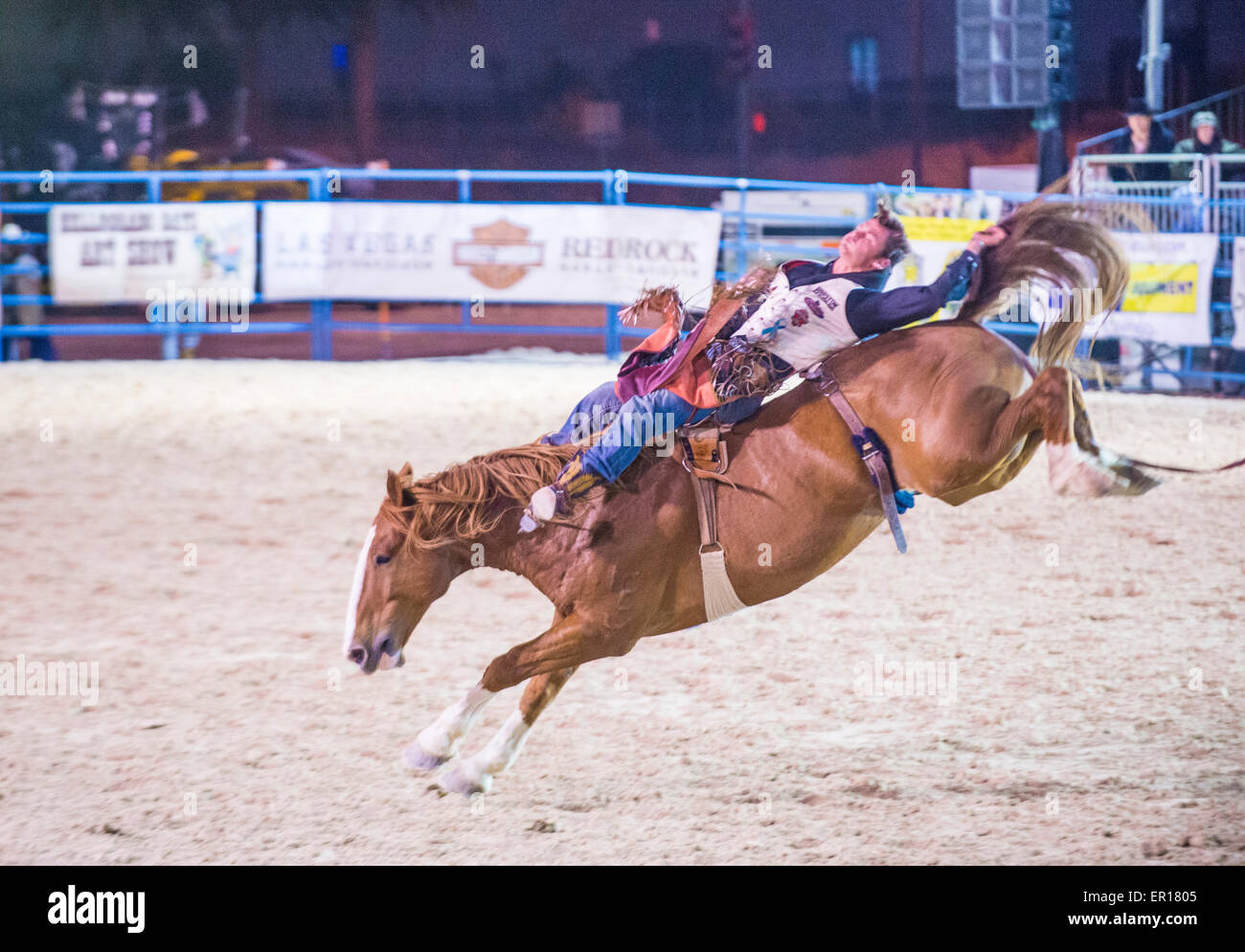 Cowboy Participating in a Bucking Horse Competition at the Helldorado ...