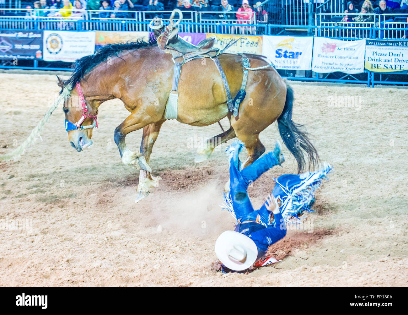 Cowboy Participating in a Bucking Horse Competition at the Helldorado ...