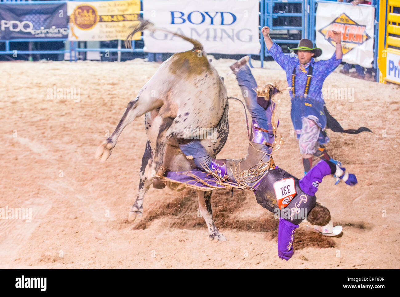 Cowboy Participating in a Bull riding Competition at the Helldorado ...
