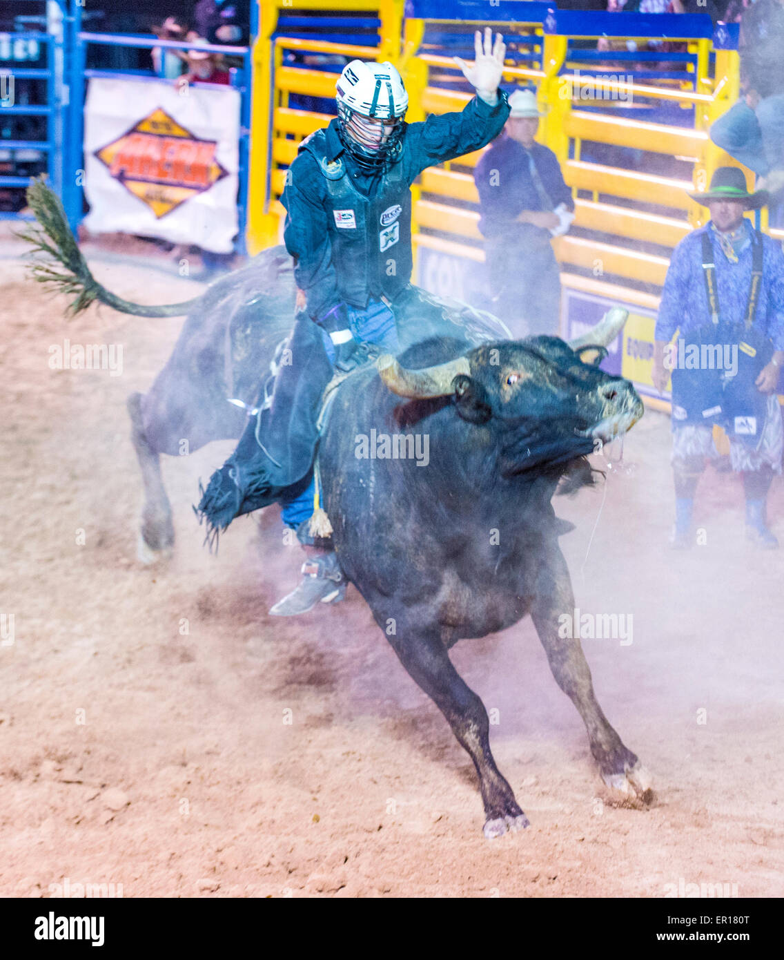 Cowboy Participating in a Bull riding Competition at the Helldorado ...