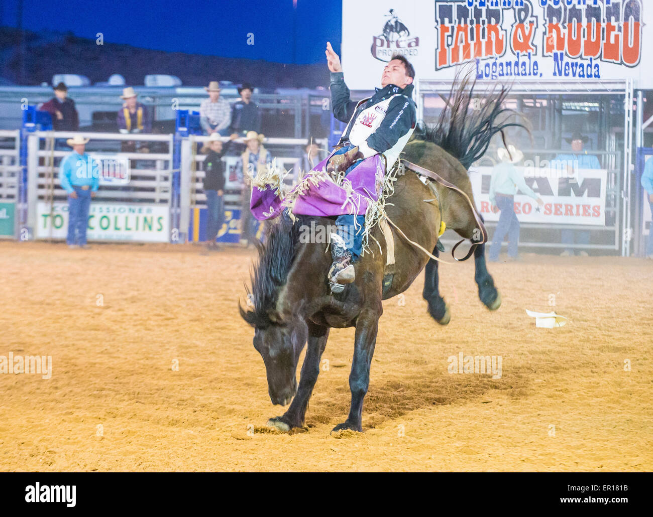 Cowboy Participating in a Bucking Horse Competition at the Helldorado ...