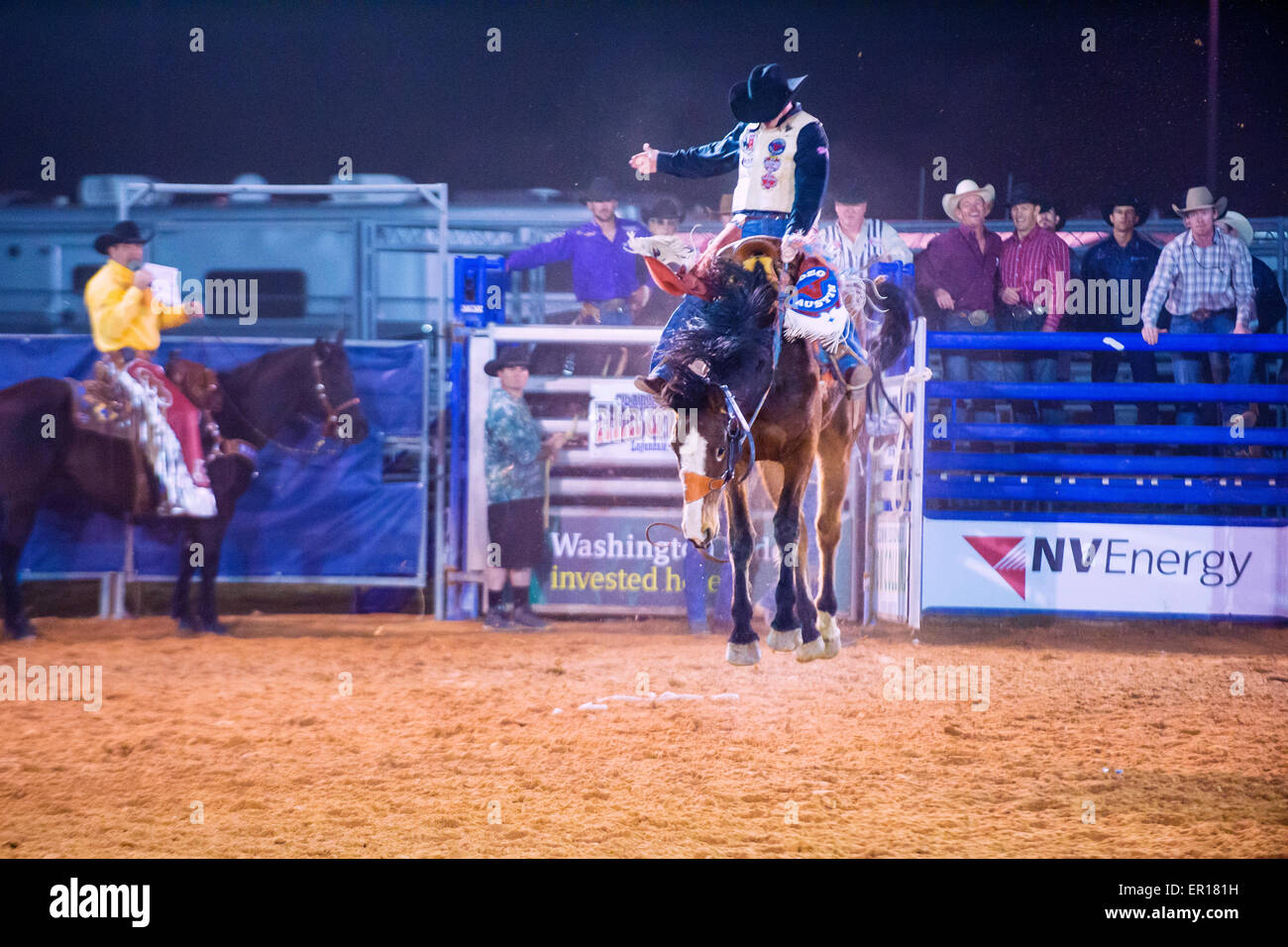 Cowboy Participating in a Bucking Horse Competition at the Helldorado ...