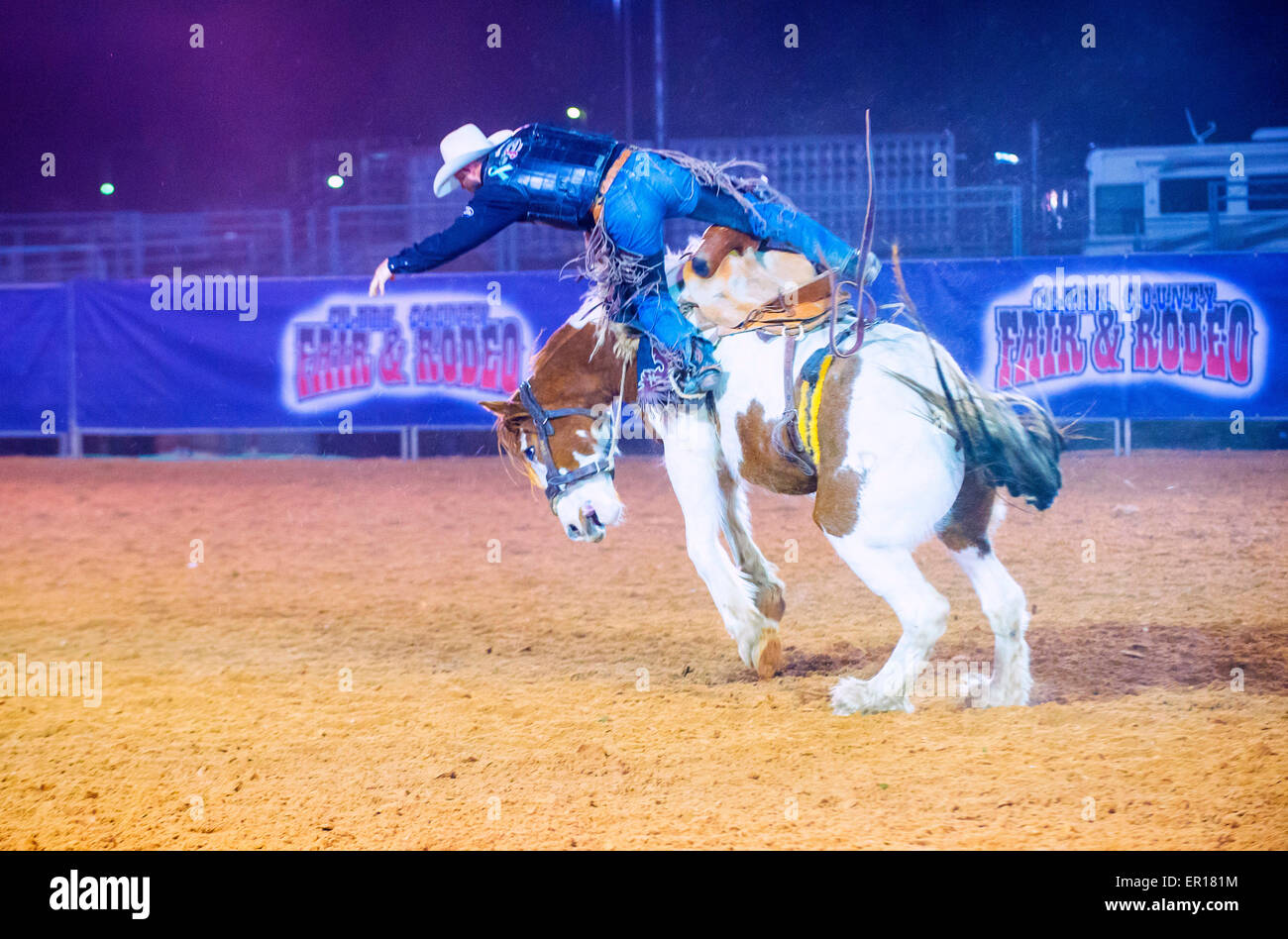 Cowboy Participating in a Bucking Horse Competition at the Helldorado ...