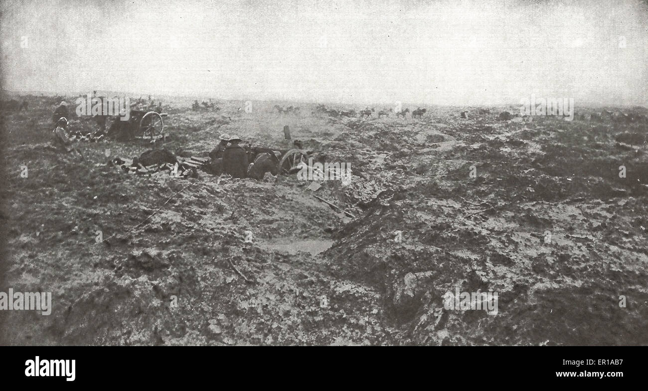 Holes in shell hi-res stock photography and images - Alamy