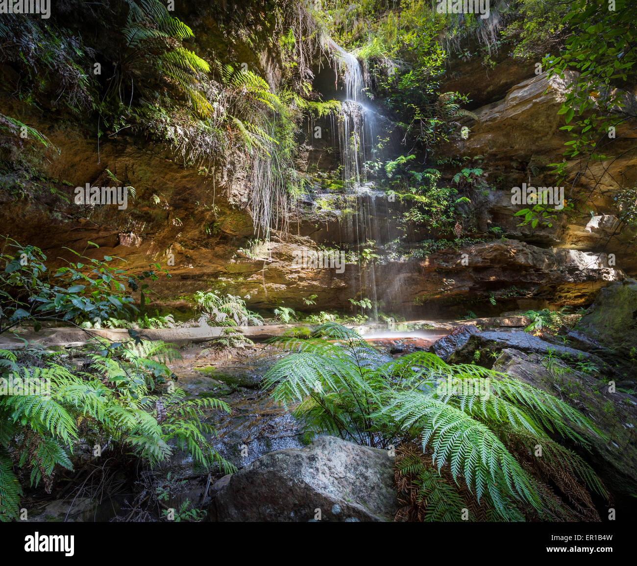 a small canyon with a small waterfall and ferns Stock Photo - Alamy