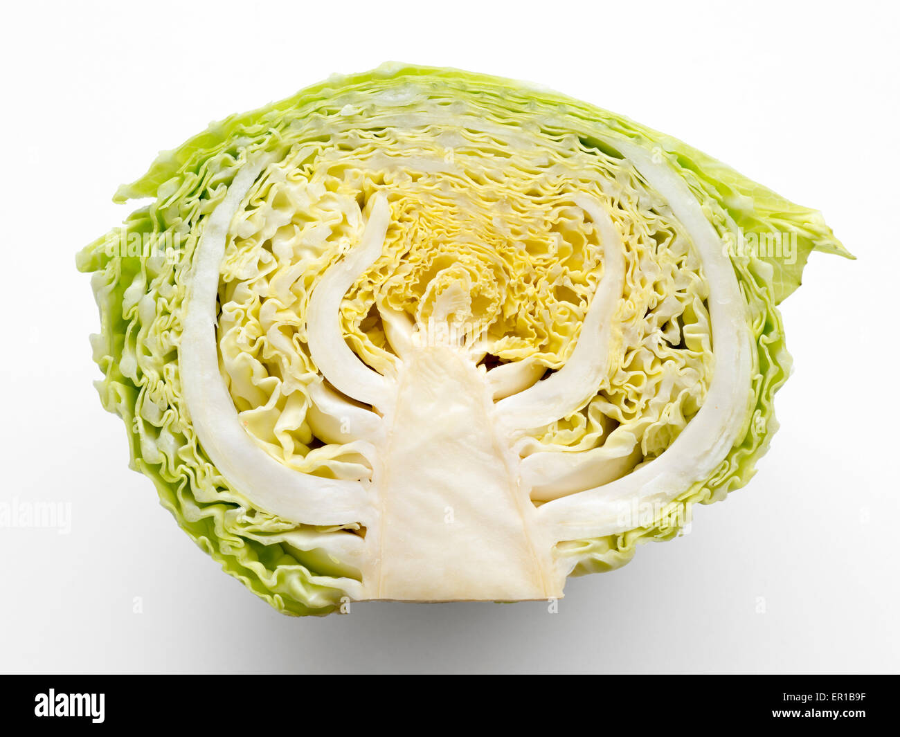 half of fresh green cabbagehead isolated on white Stock Photo - Alamy
