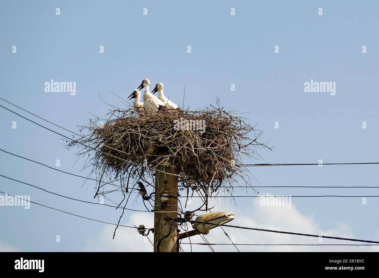 Small pillar hi-res stock photography and images - Alamy
