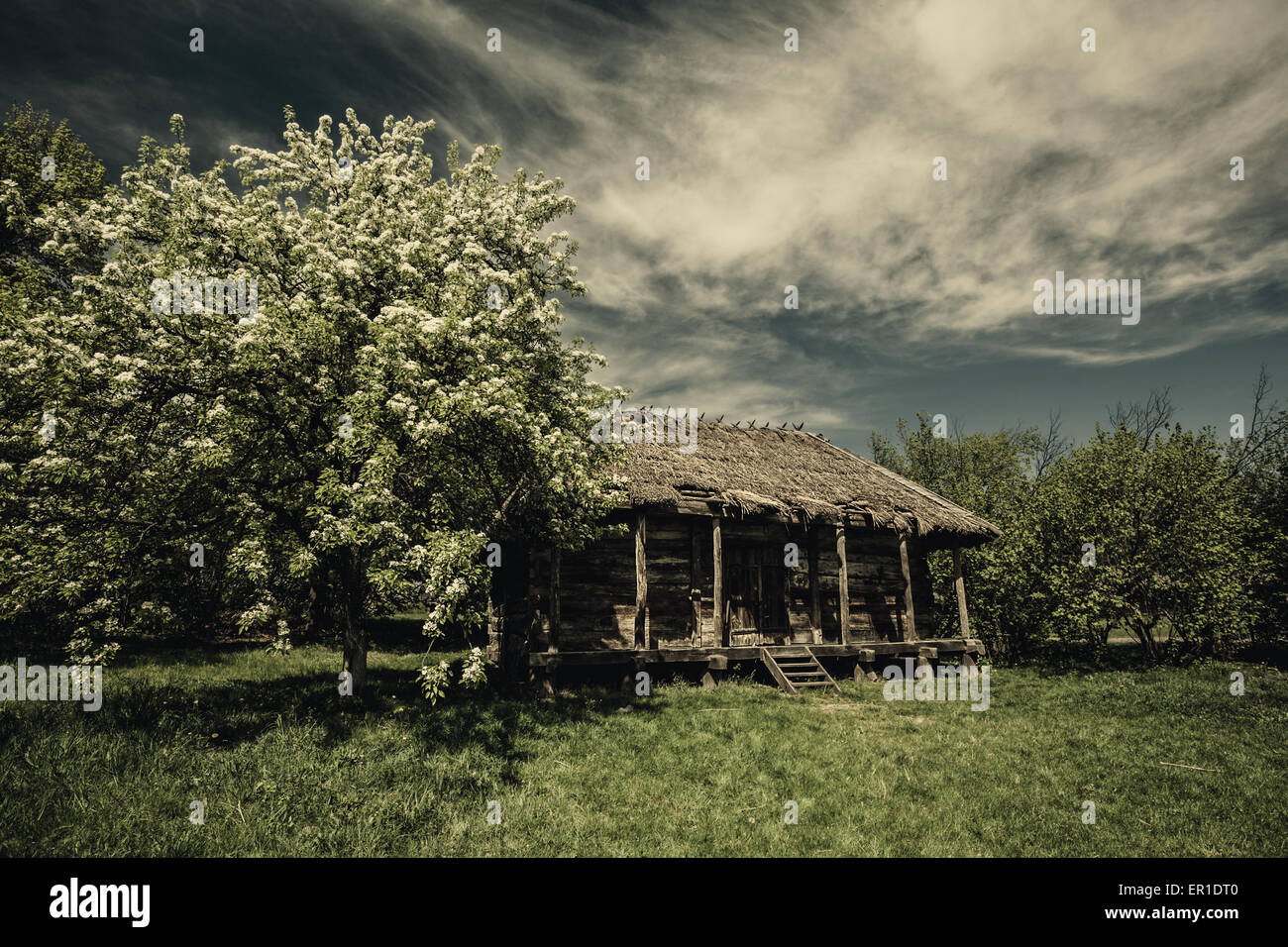 Old abandoned hut under dramatic skies, natural landscape Stock Photo ...