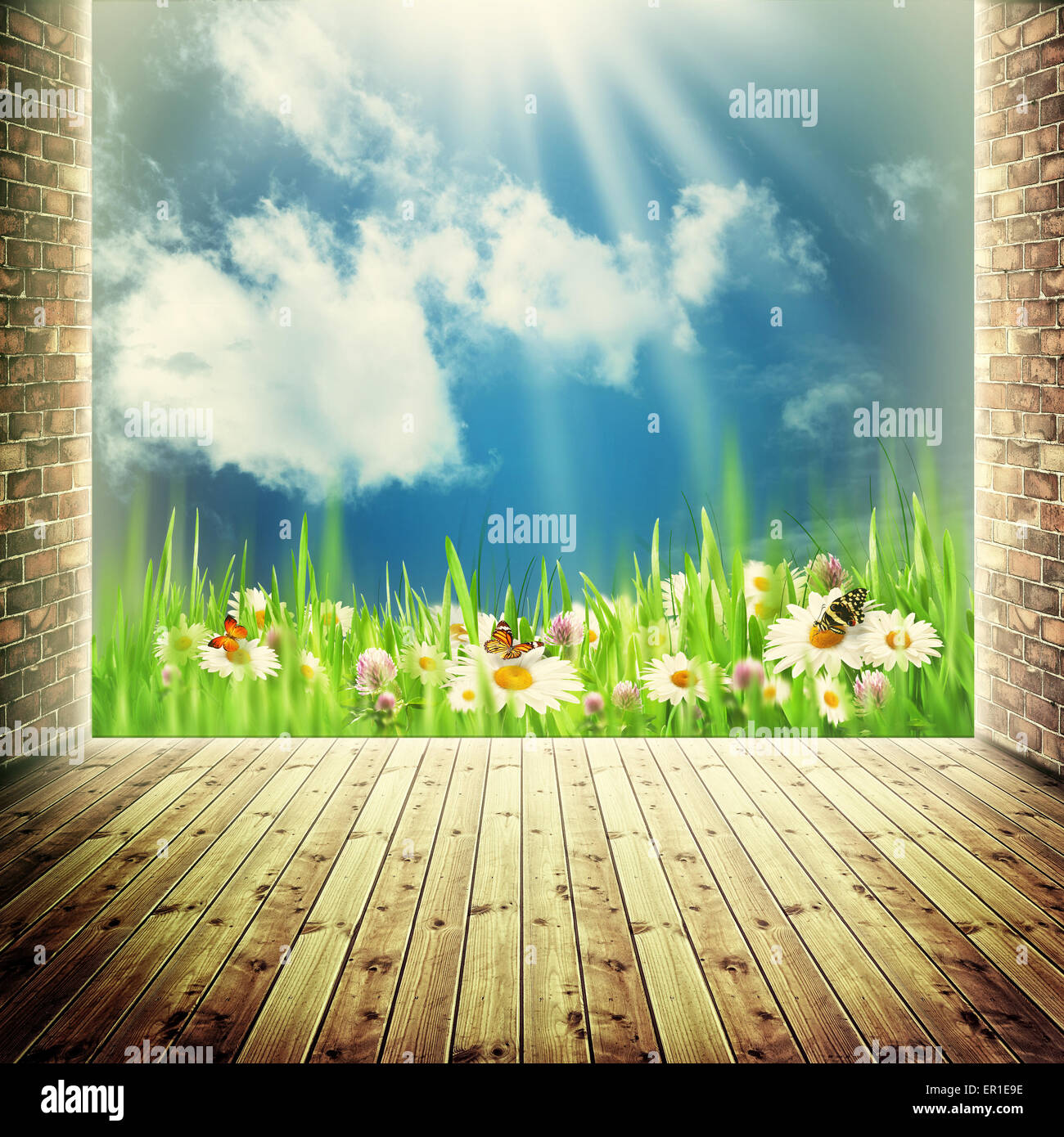Window to the freedom, abstract natural backgrounds Stock Photo - Alamy