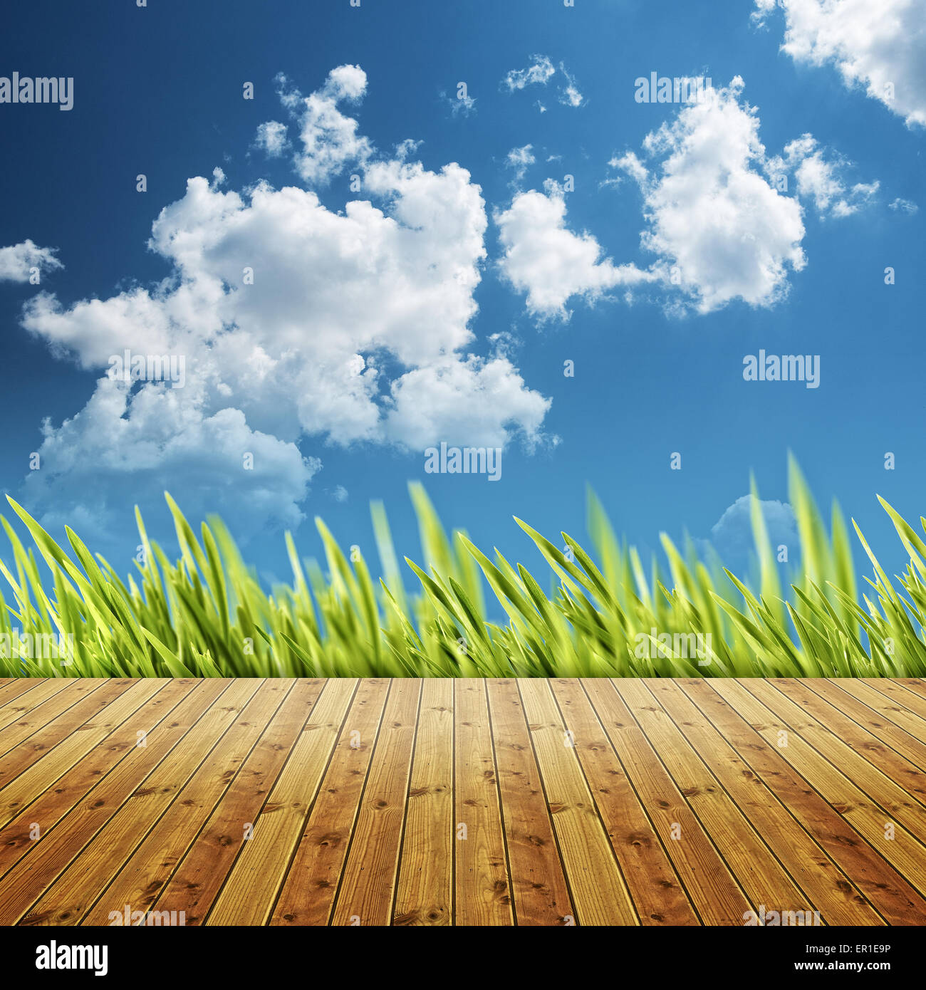Abstract natural backgrounds with wooden desk and green grass under ...