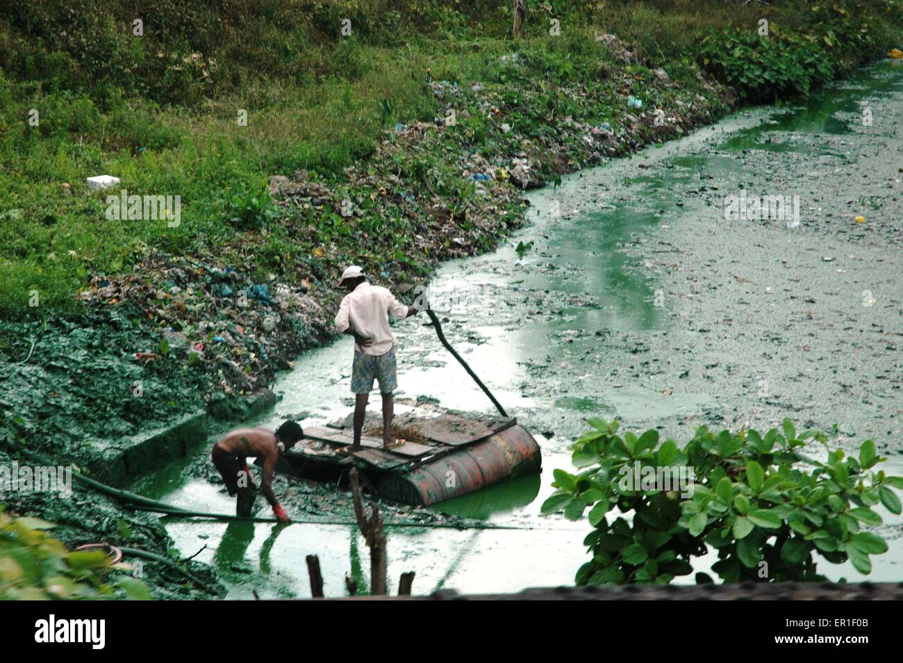 Colombo, Sri Lanka: polluted pond in the city's suburbs Stock Photo - Alamy