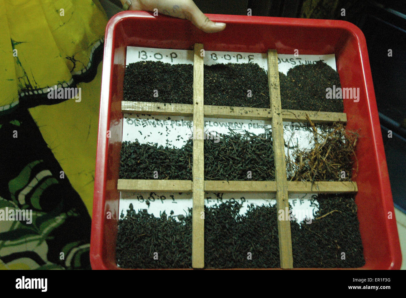 Kandy (Sri Lanka): tea factory Stock Photo - Alamy