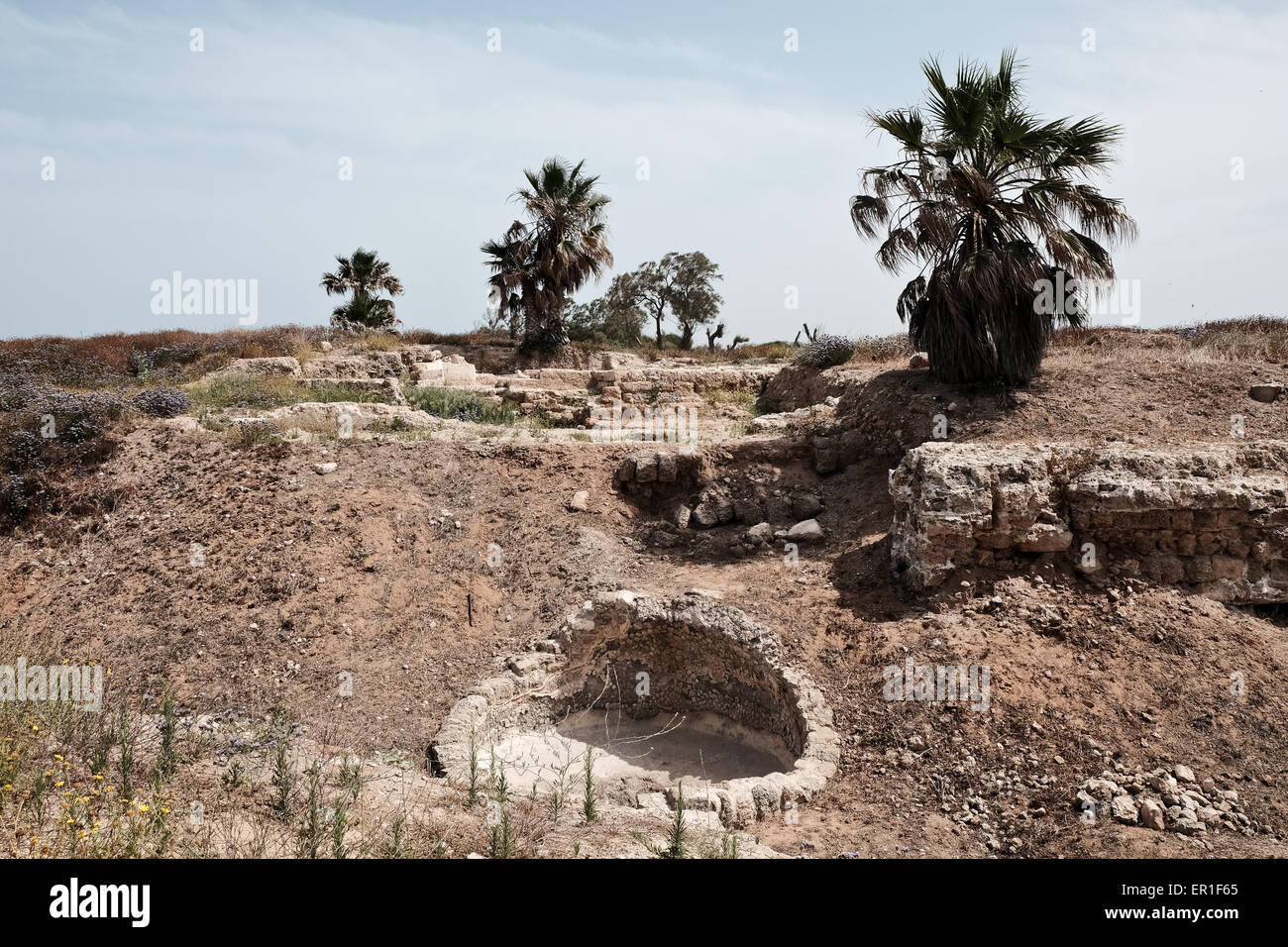 Apollonia National Park, Israel. 24th May, 2015. Apollonia National ...