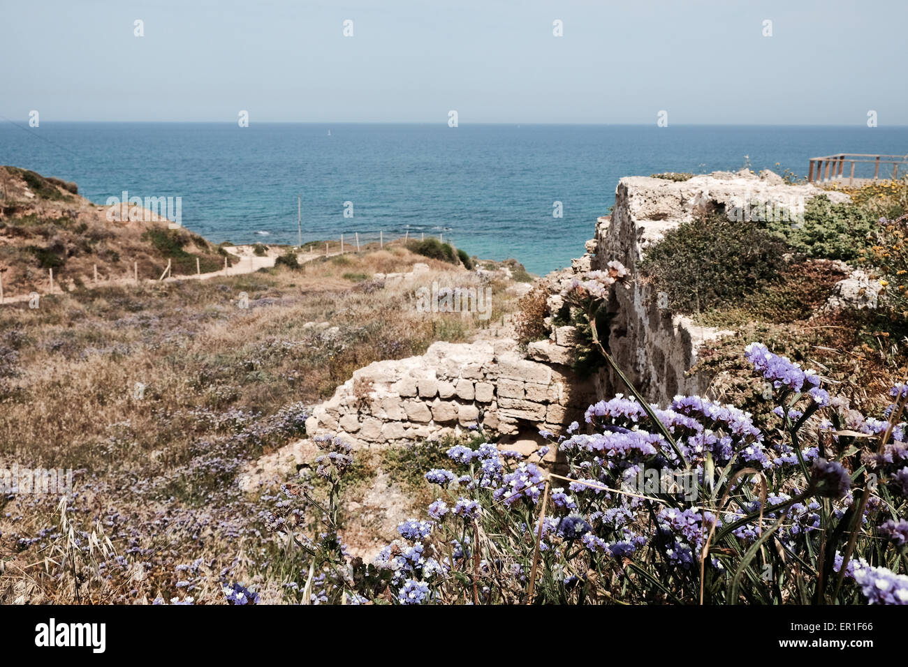 Apollonia National Park, Israel. 24th May, 2015. Apollonia National ...