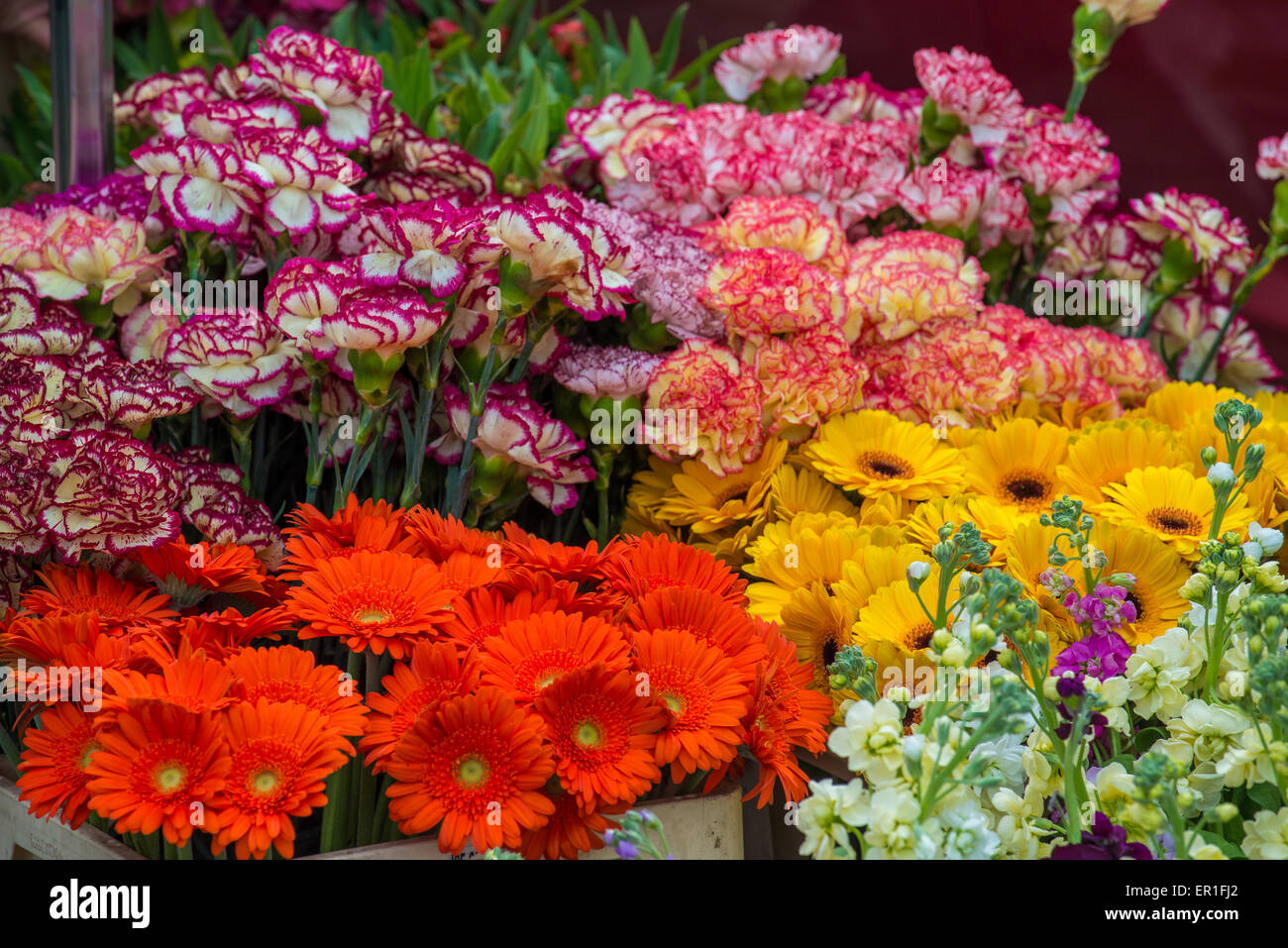 Pink flowers prague czech republic hi-res stock photography and images ...