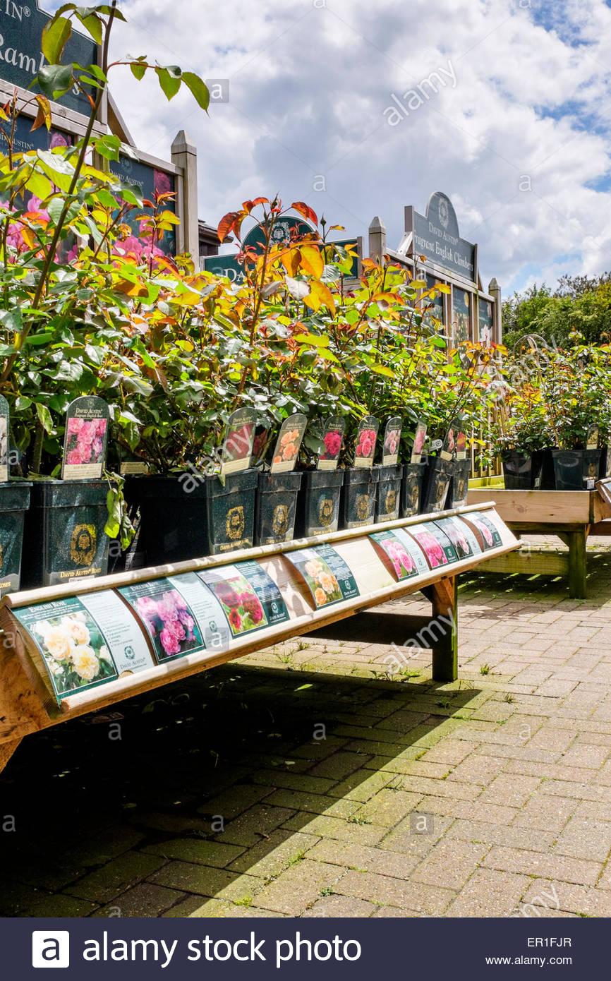 Ferndown Dorset Stock Photos & Ferndown Dorset Stock Images - Alamy