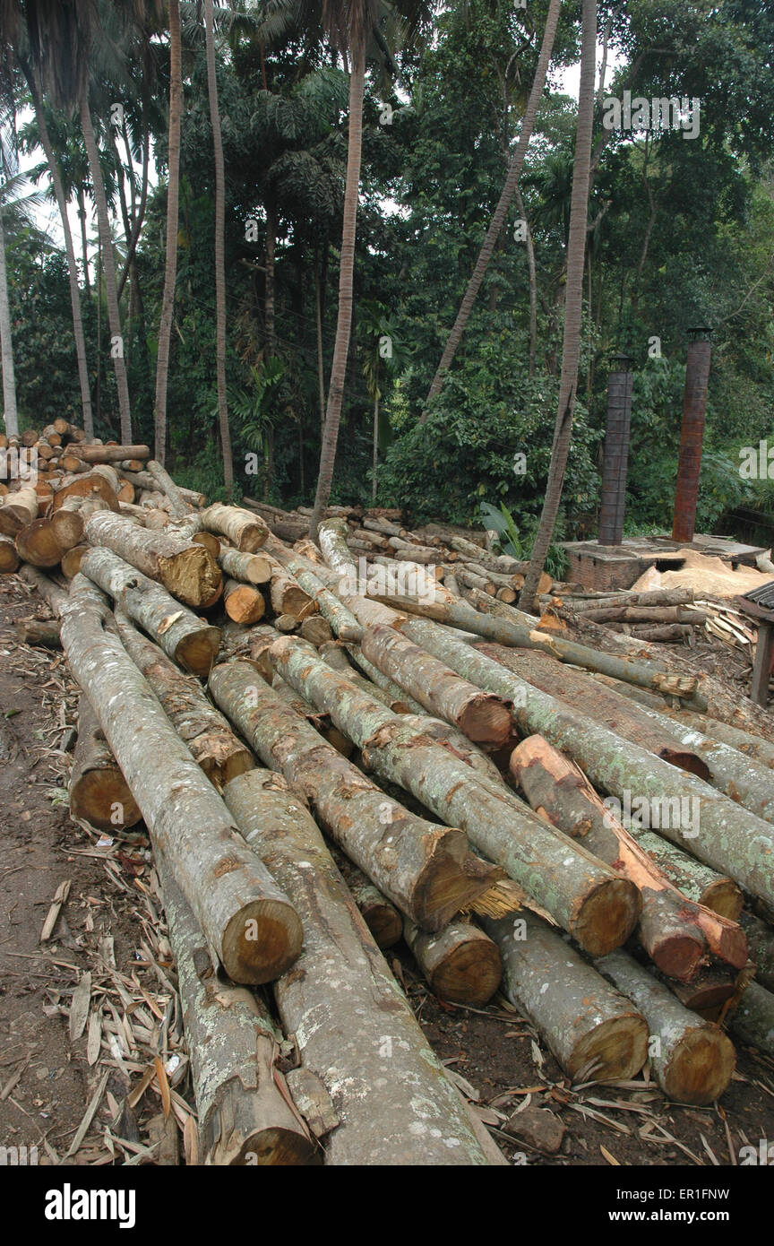 Kandy, Sri Lanka: deforestation Stock Photo - Alamy