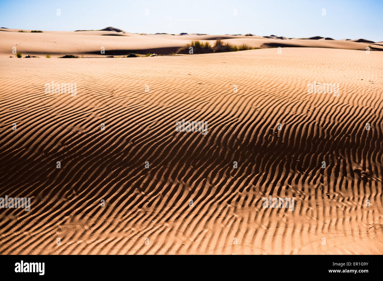Sahara desert, sand dunes rich of texture Stock Photo - Alamy
