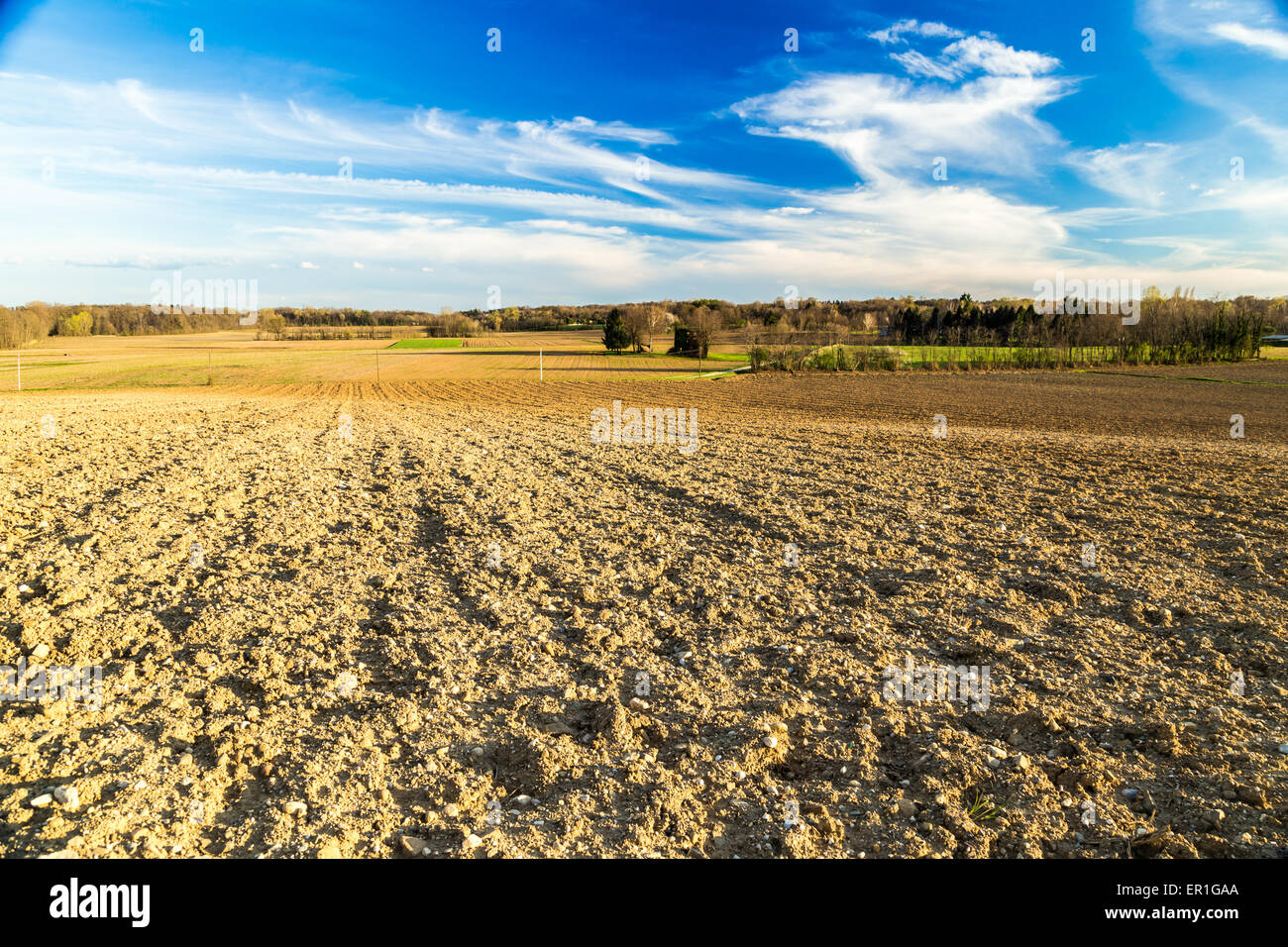 an abandoned and ruined farm in the fields of Italy Stock Photo - Alamy