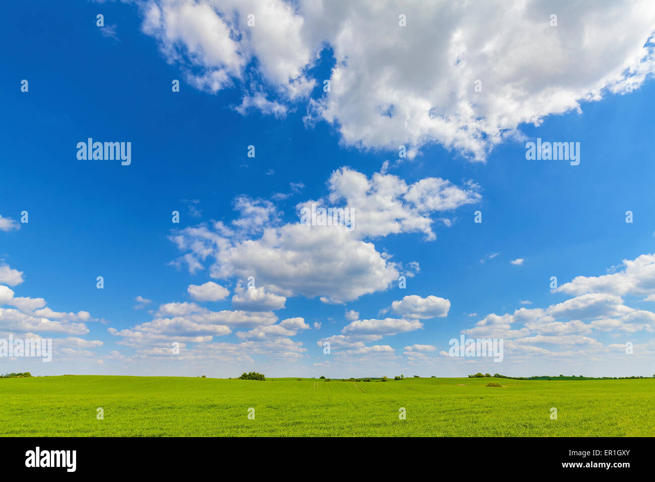 Countryside nature background, green field and cloudy sky Stock Photo ...