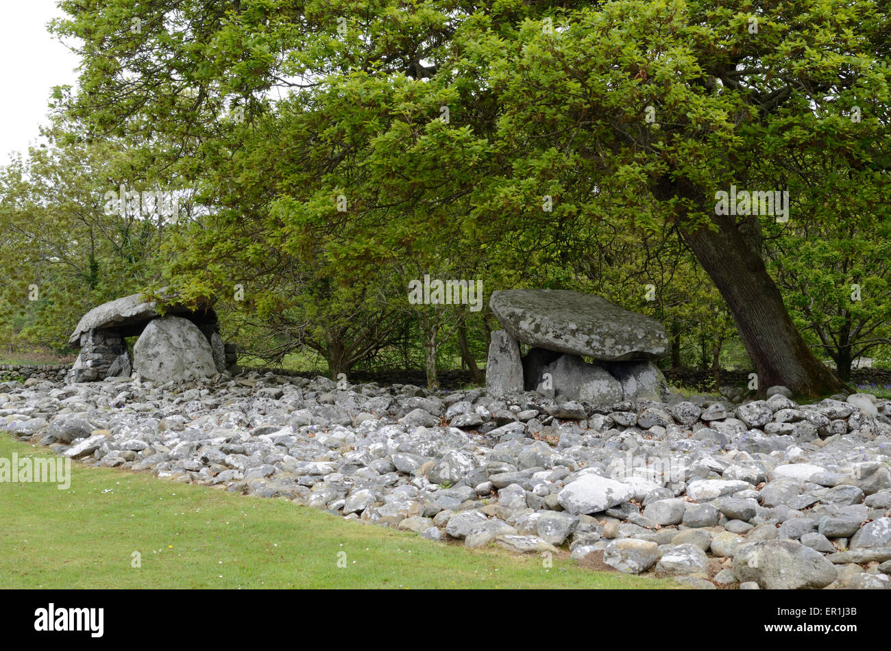 Dyffryn Ardudwy Neolithic burial chamber Gwynedd Wales Cymru UK Gb ...