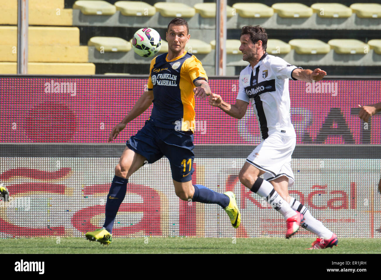 Parma, Italy. 24th May, 2015. Bosko Jankovic (Hellas), Massimo Gobbi ...