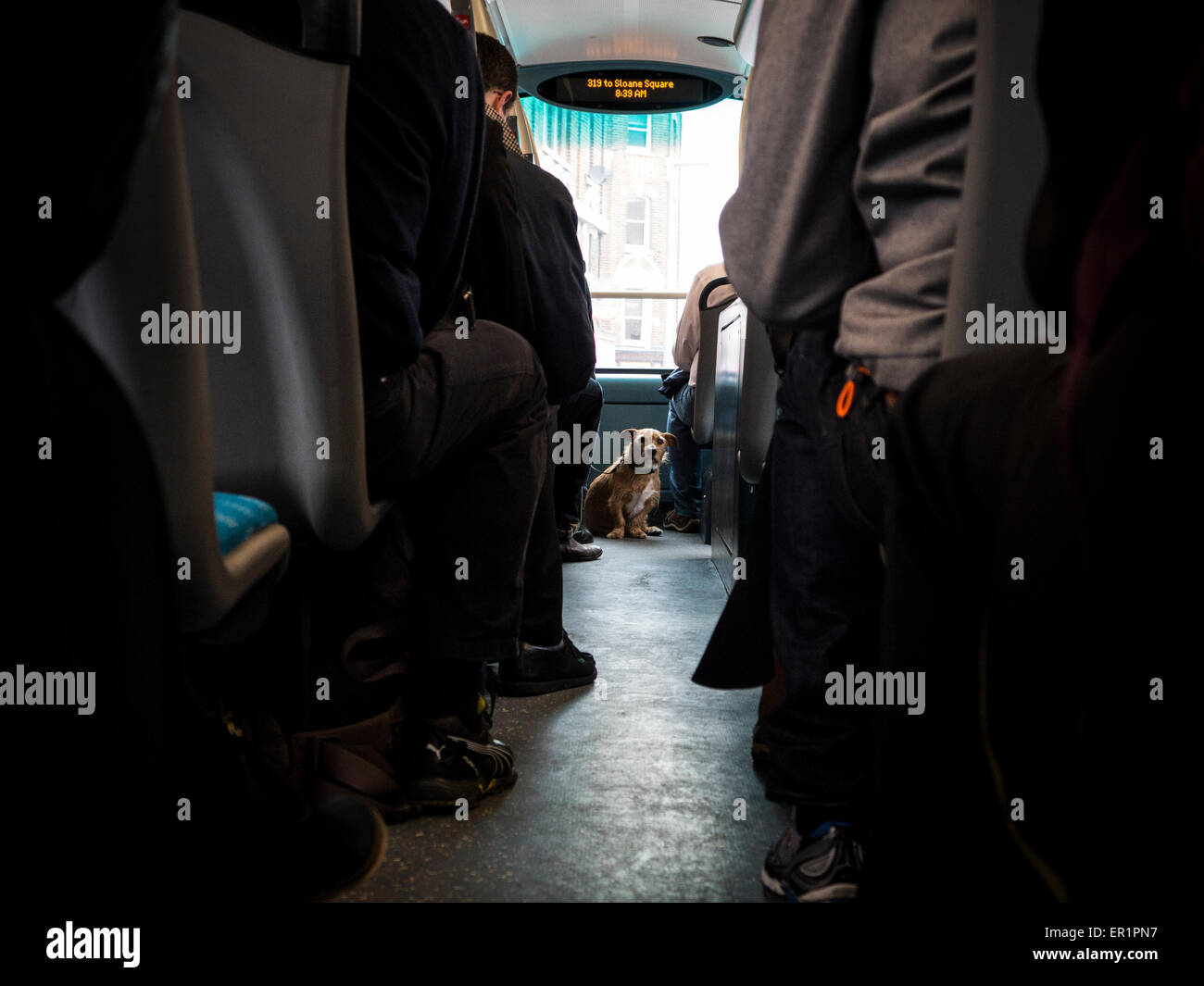 Traveling on a crowded bus hi-res stock photography and images - Alamy