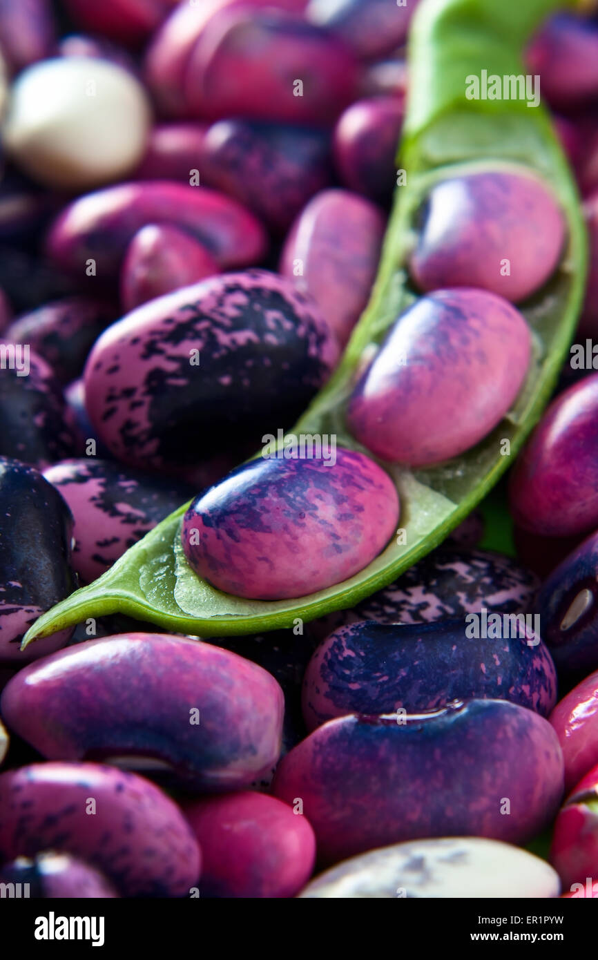 Black and white and coloured center hi-res stock photography and images ...