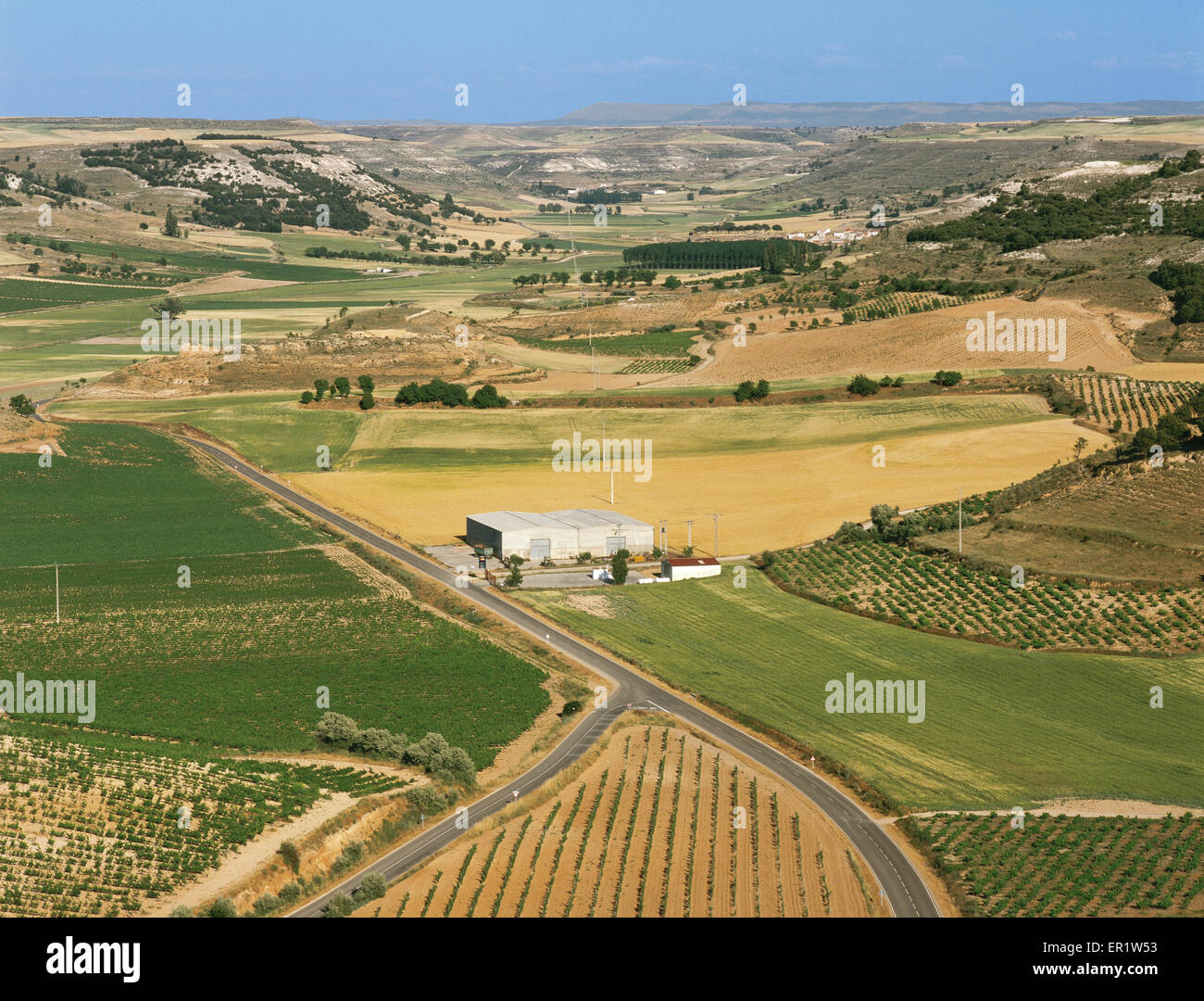 Agricultural landscape. Near Peñafiel.Castile and Leon. Spain Stock ...
