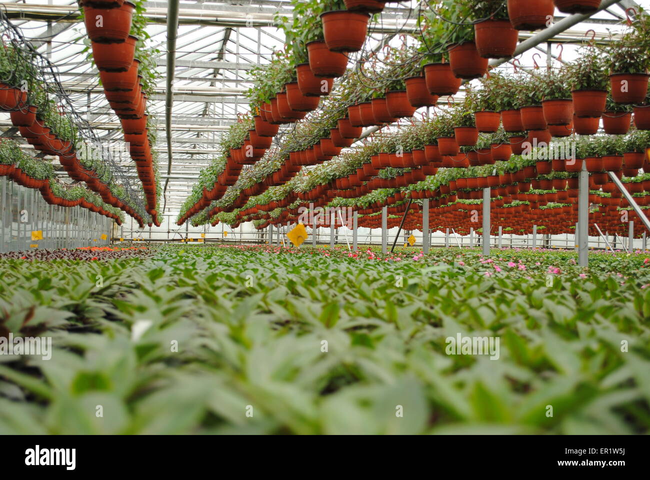 Overwhelming patterns hi-res stock photography and images - Alamy