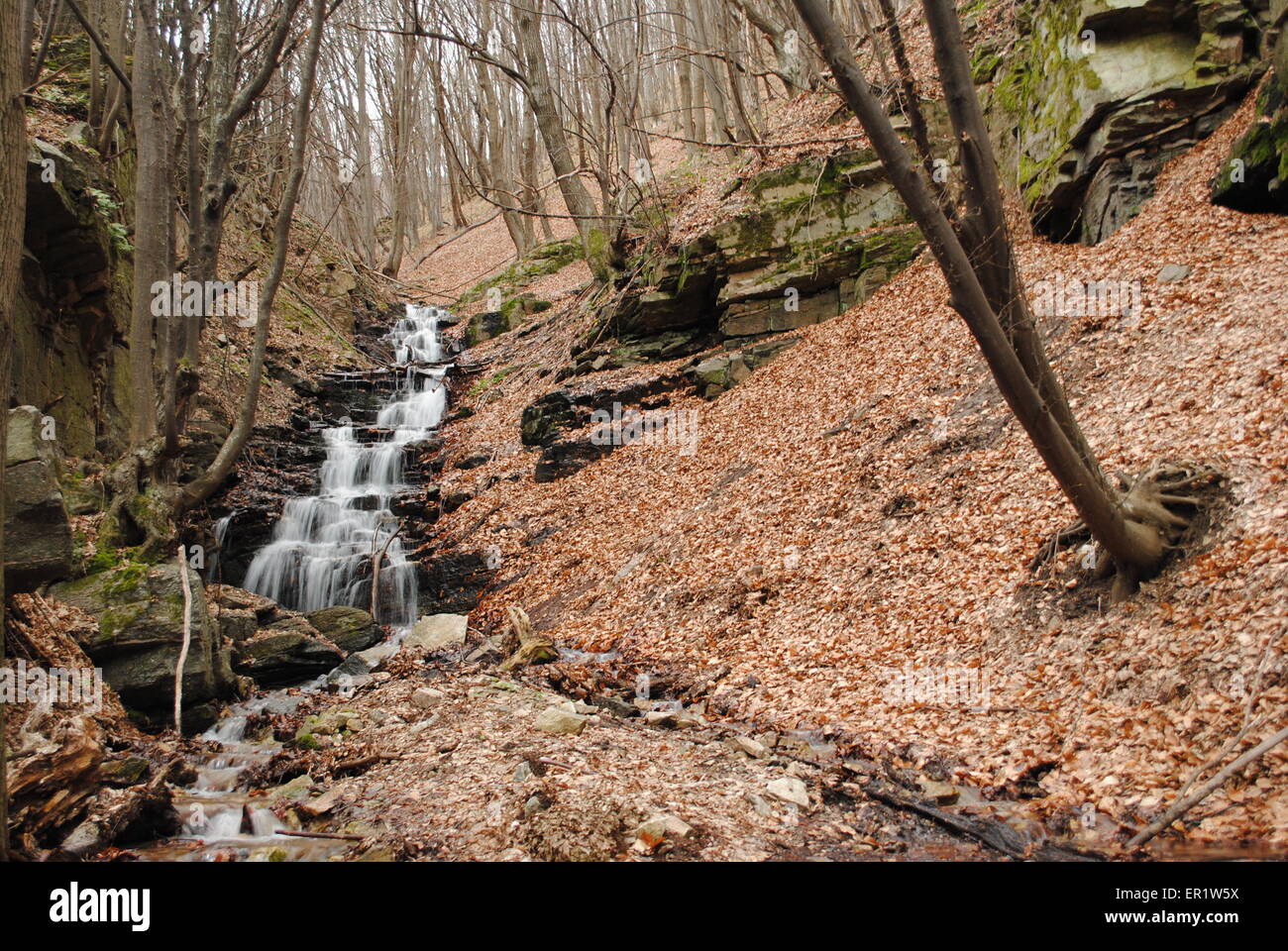 Selce river Bulgaria Stock Photo - Alamy