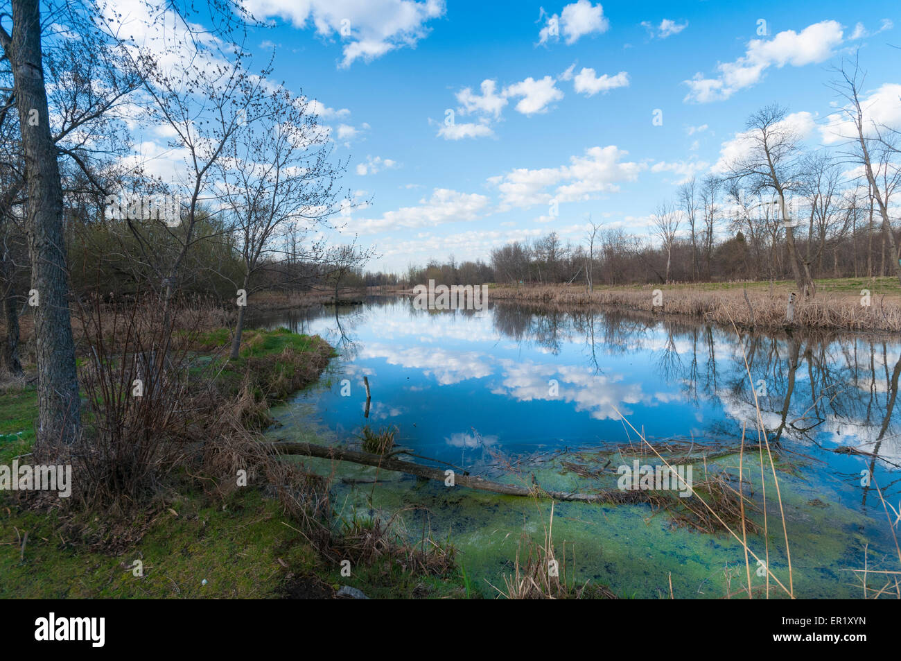 Spring at the park Stock Photo - Alamy