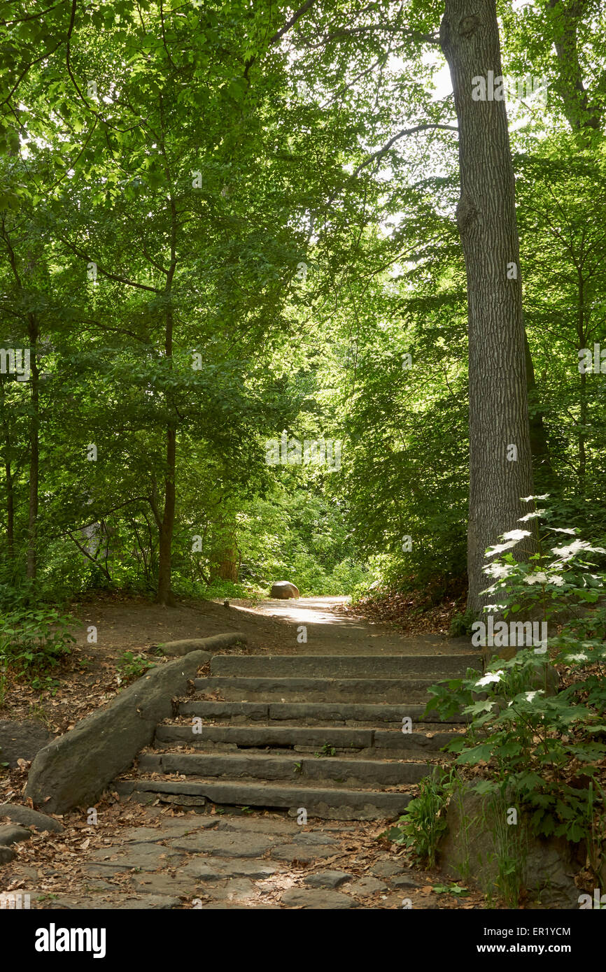 Pathway through the North Woods, Central Park, New York City, USA Stock ...