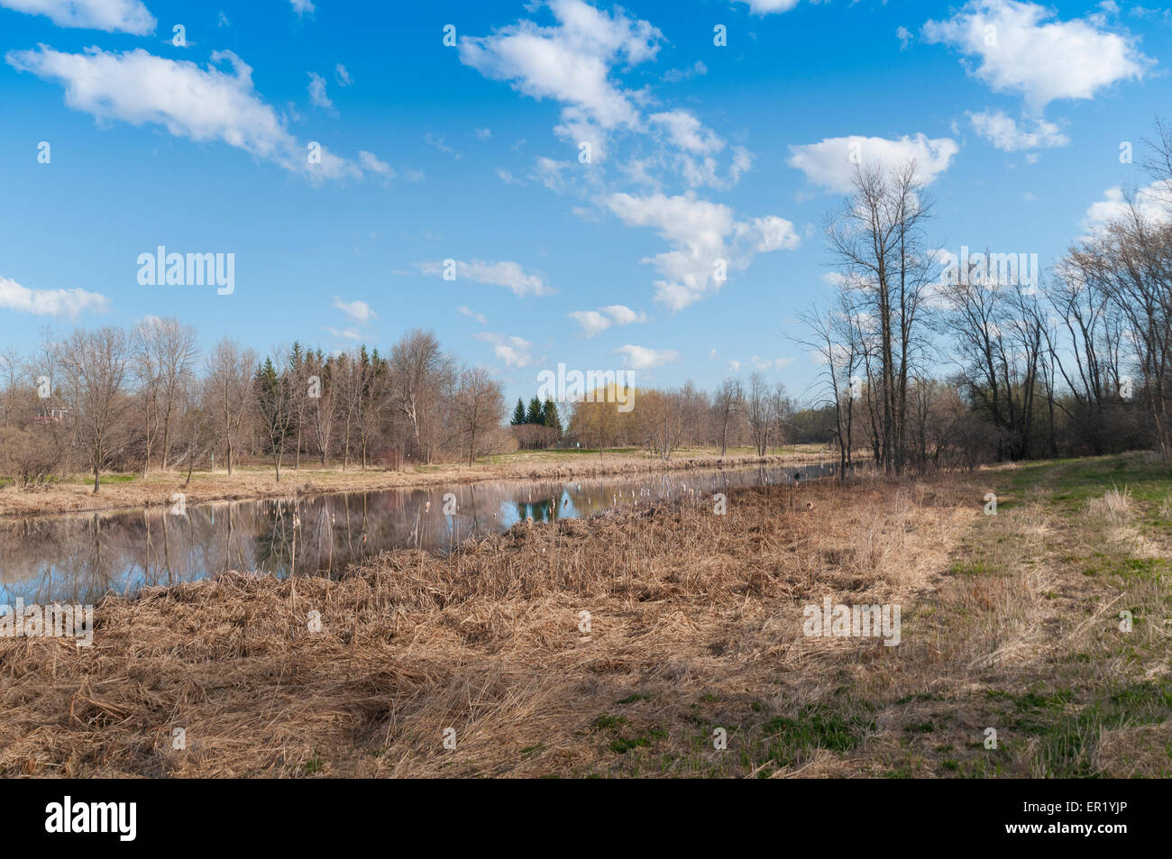 Spring at the park Stock Photo - Alamy